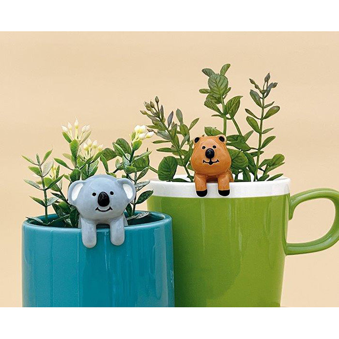 Decole Australian Animals Sitting Spoon - Koala – MeeQ