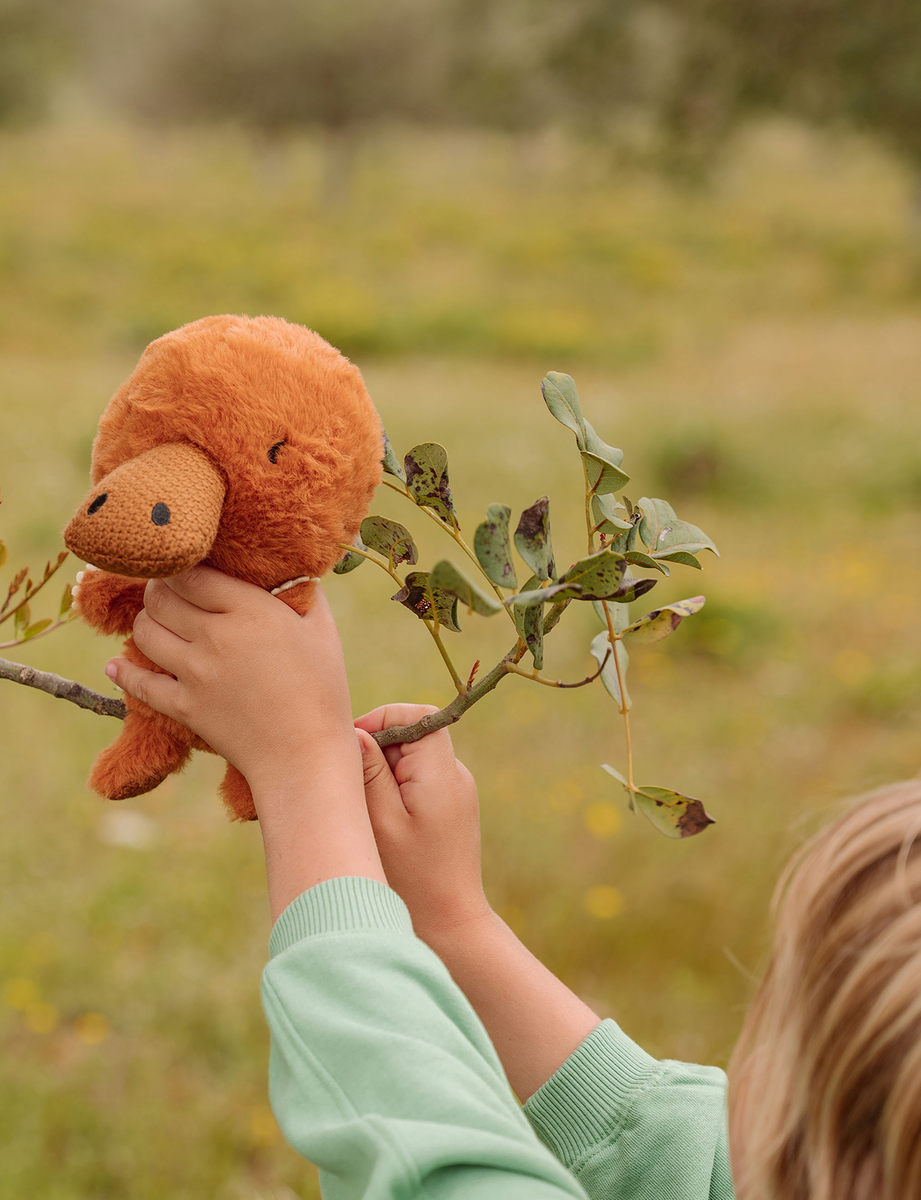 WWF Paddy Platypus - 18 cm – MeeQ